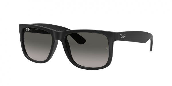 RAY-BAN | RB4165 | Black – Public Eye Optical Co.